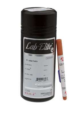 Micrococcus luteus derived from ATCC® 10240™*| Medical Supply Company