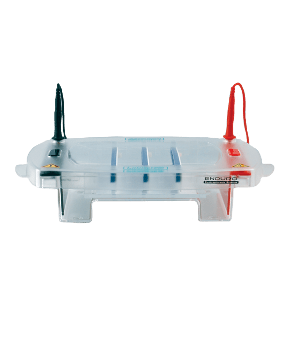 Enduro™ 15.10 Horizontal Gel Tank 15 x 10cm | Medical Supply Company