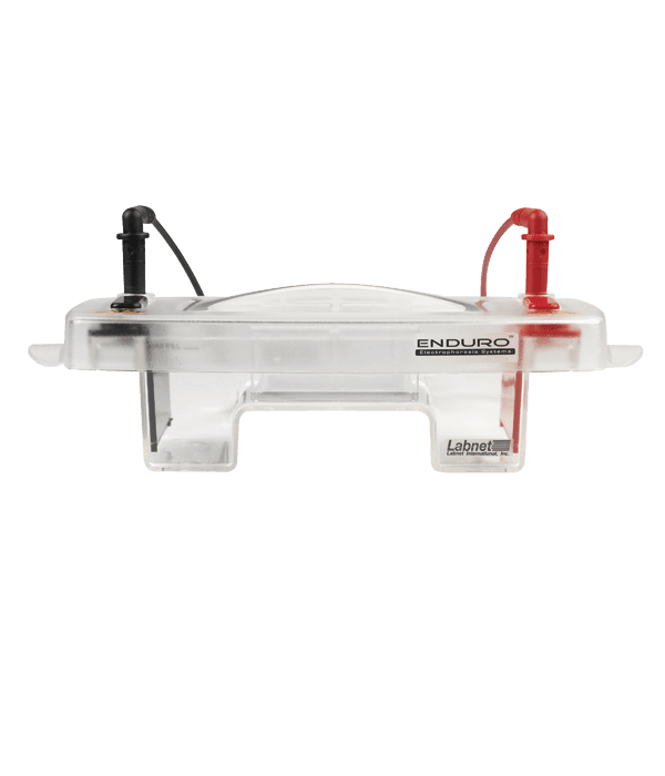 12 well MC comb for use with 7cm gel system, 1mm thick | Medical Supply ...