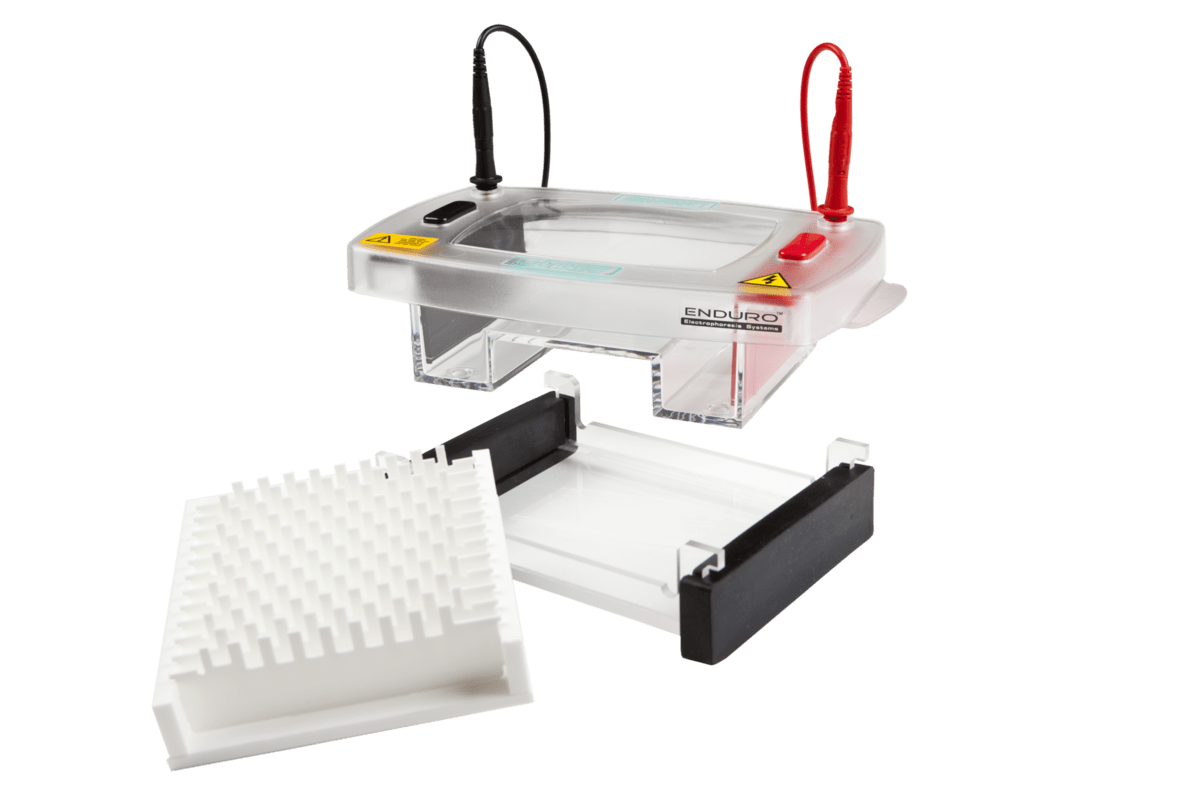 Enduro™ 96, UV tray, Comb block with 12 x 8 sample, 1.5mm thick combs ...