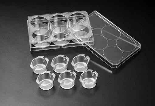 Inserts & 6 well plate,PS,PE,semi translucent ,24mmØ,8.0µm pore ...