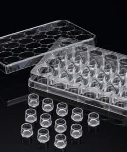 SPLInsert™ Standing, 12 Inserts/24 well plate, PET, 8µm, 0.2~0.6ml ...