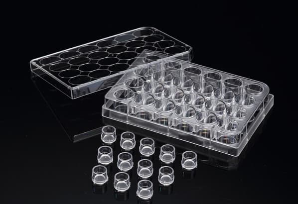 SPLInsert™ Standing, 12 Inserts/24 well plate, PET, 0.4µm, 0.2~0.6m ...