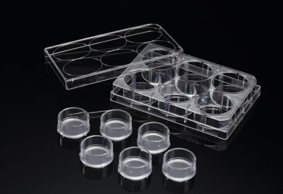 SPLInsert™ Standing, 6 Inserts/6 well plate, PET, 3µm, 2~6ml ...