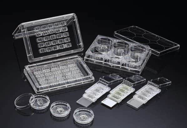 Confocal Dish Bioptechs™ Delta T Culture Dishes | Fisher Scientific