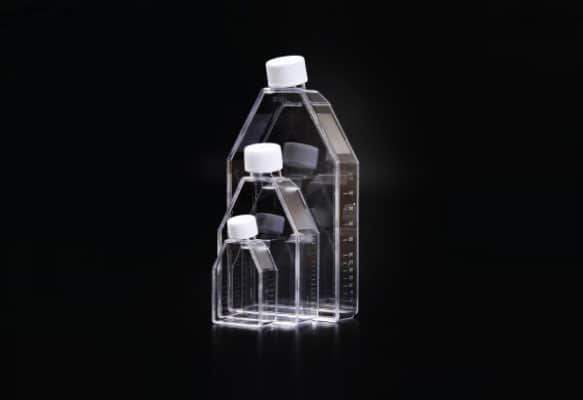 Tissue Culture Flask with Plugged Cap,PS, 25cm2, TC treated, Sterile to ...