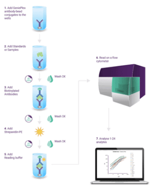 Multiplex ELISA kits from only 15µl of sample | Medical Supply Company